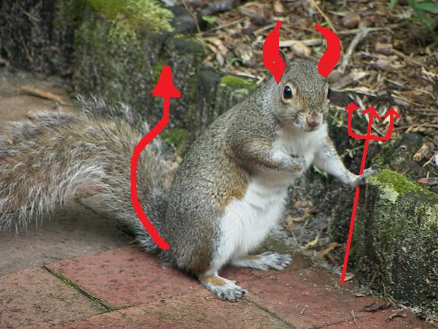 These Goddamn Neighborhood Squirrels - Lori Palminteri Lori Palminteri